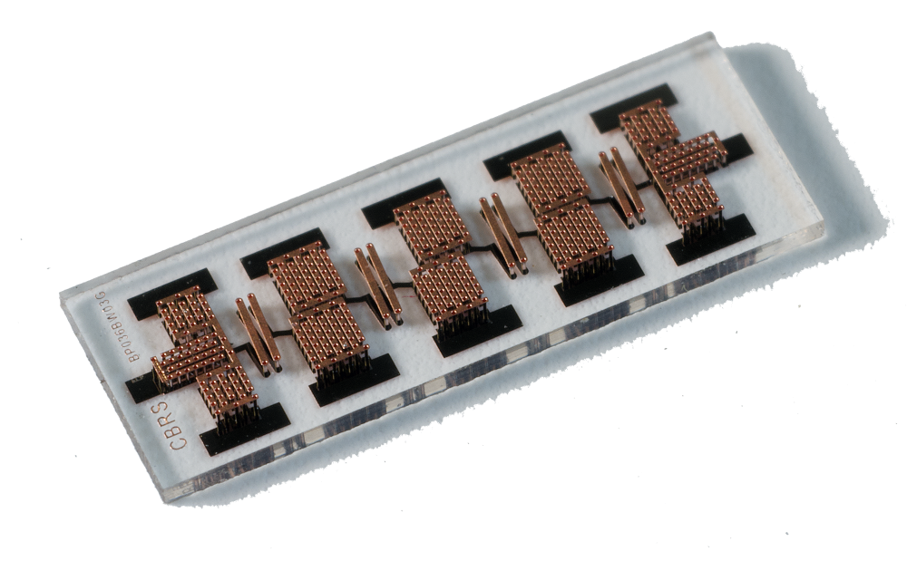 BP036BW01S ED2 RF Filter - Band Pass|RFMW